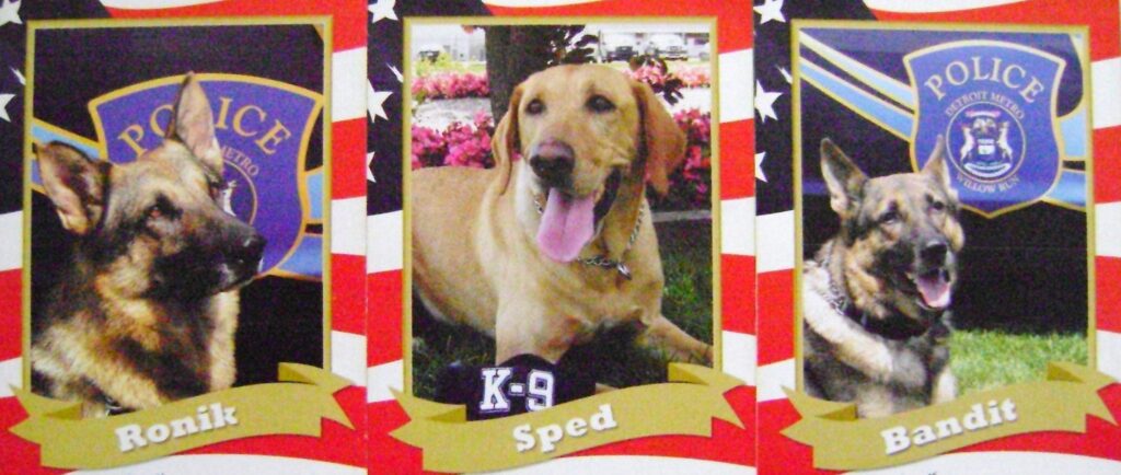 Working Animals: Meet Metro Airport's K9 Unit | Ann Arbor Animal Hospital