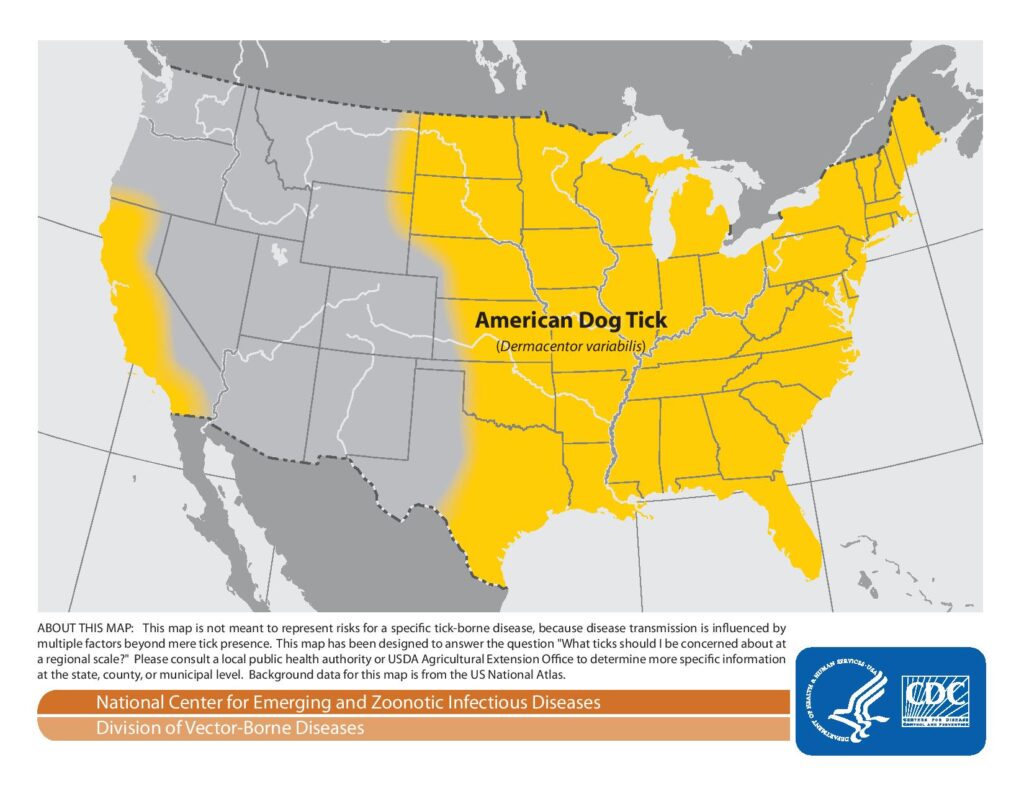 A few ways to control the tick population in your yard | Ann Arbor ...